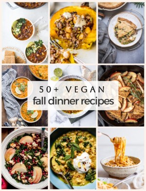 50+ Vegan Fall Dinner Recipes • Bakerita